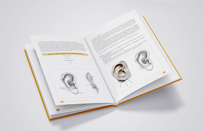 Verslaving doorbreken met auriculotherapie | Praktijkboek – Sayoshi
